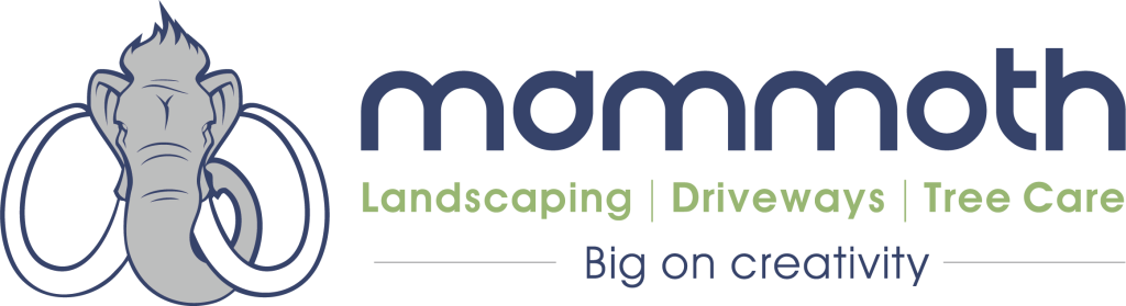 Broken Fence Panels: A Step-by-Step Guide to Repair - Mammoth Services